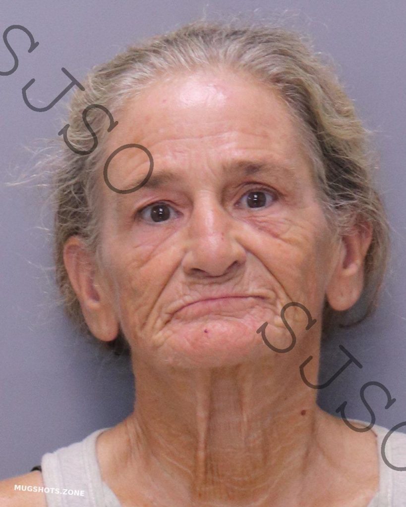 FRANKLIN CYNTHIA LYNN 08/18/2024 - St. Johns County Mugshots Zone