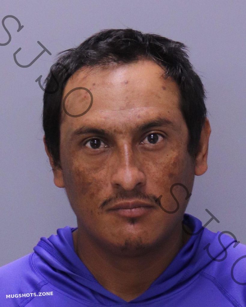 BARAJAS RICO EDGAR JAVIER 10/15/2024 - St. Johns County Mugshots Zone
