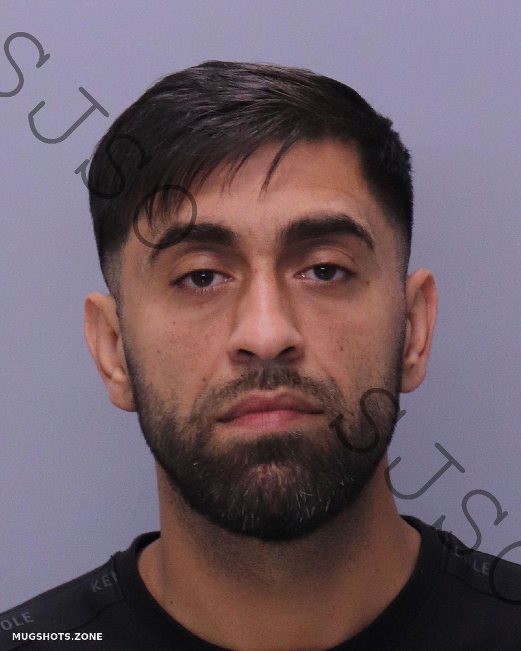 MATEI AVRAM-VICA 10/17/2024 - St. Johns County Mugshots Zone