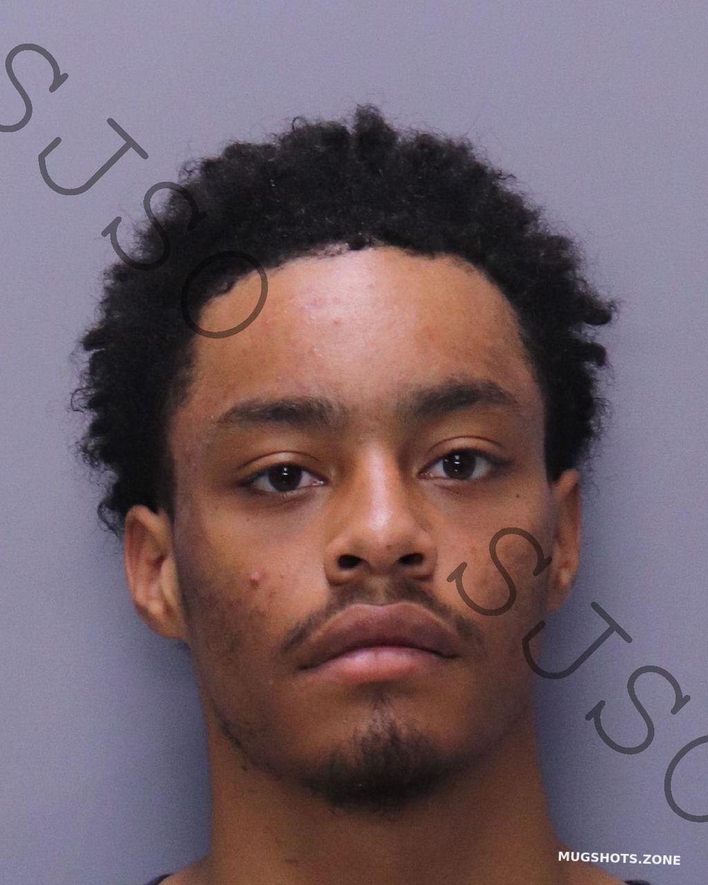 SEGALOWITZ ELIJAH MICHAEL DANIEL 11/17/2024 - St. Johns County Mugshots ...