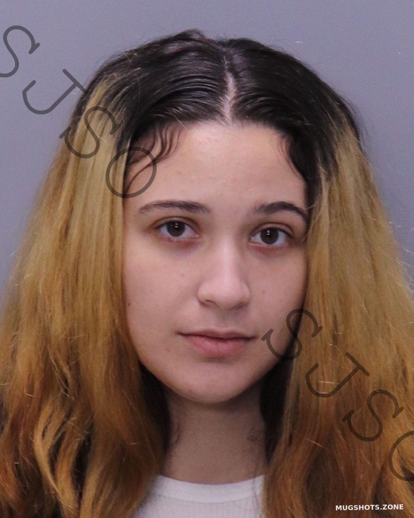 VIDAL NIDIA 11/20/2024 - St. Johns County Mugshots Zone