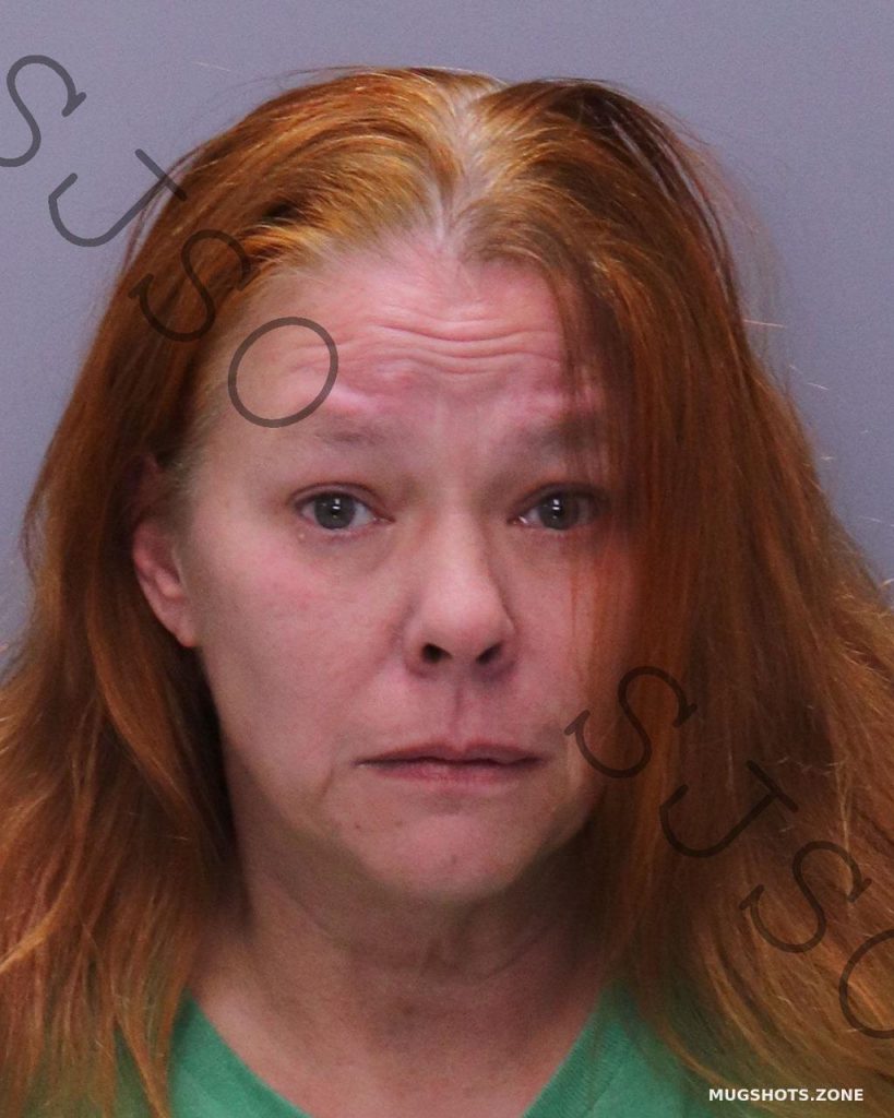 OLSON SUSAN RENEE 12/02/2024 - St. Johns County Mugshots Zone