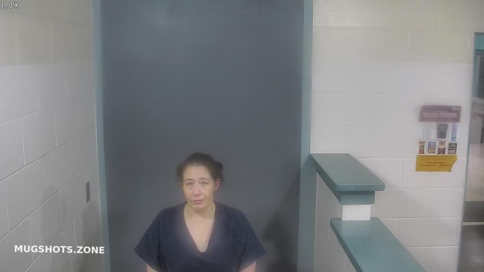 JESTER JAMIE LYNN 04/18/2021 - St. Joseph County Mugshots Zone