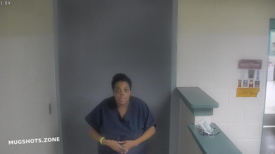 MACLIN TIFFANY NICHOLLE 04/19/2021 - St. Joseph County Mugshots Zone