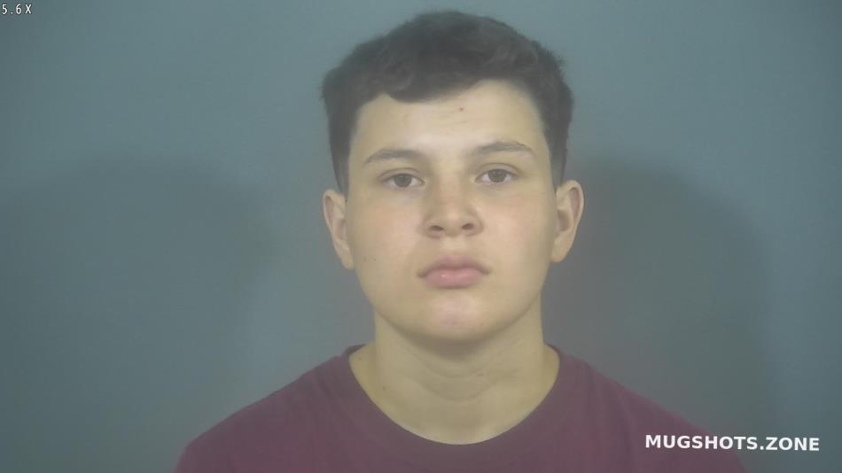 DAVIS FAITH LEANNE 05/30/2021 - St. Joseph County Mugshots Zone