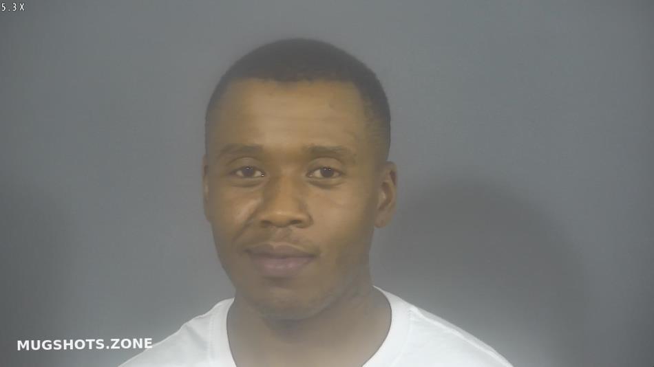 ROSS BRYAN PATRICK 08/14/2021 - St. Joseph County Mugshots Zone