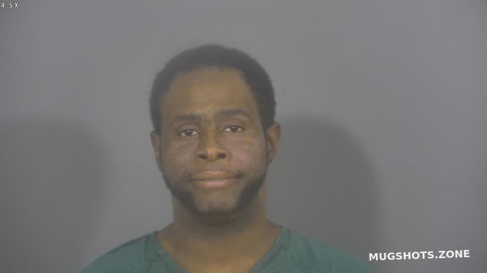 ANDERSON RAYMOND RAPHAEL 11/16/2021 - St. Joseph County Mugshots Zone