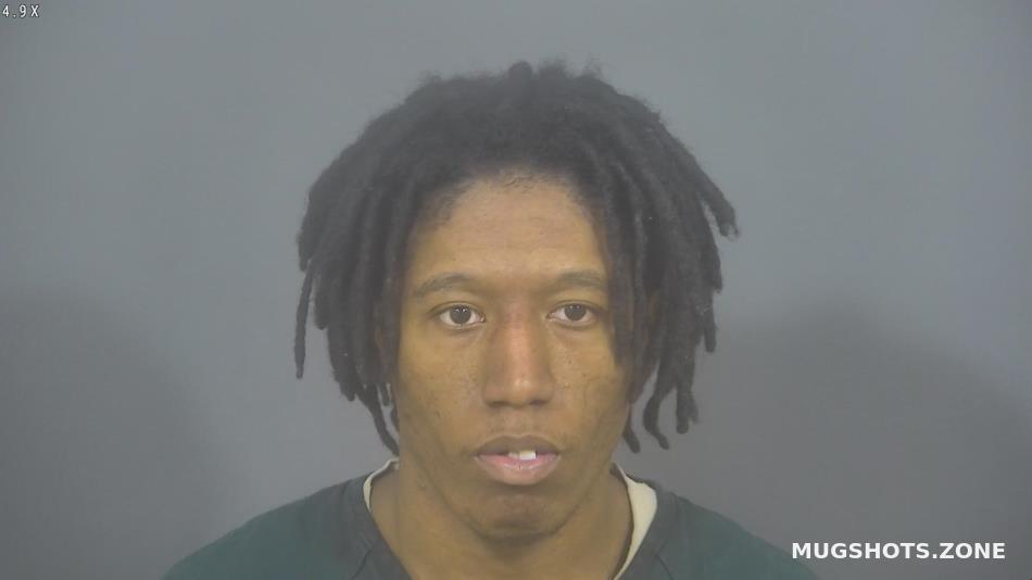 FLY CHESTER LEE 02/08/2022 - St. Joseph County Mugshots Zone