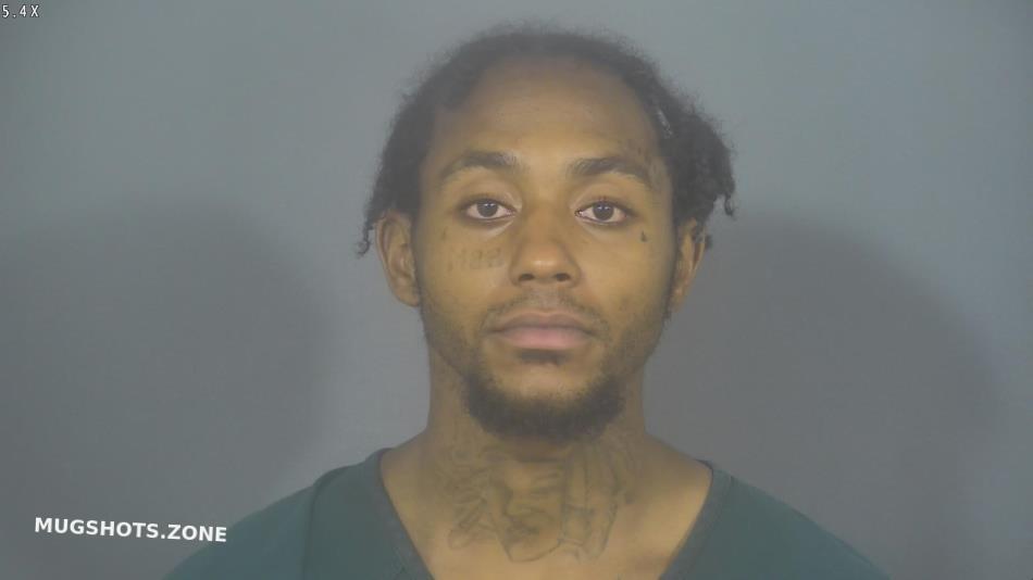 LEER IAN ALEXANDER 07/12/2022 - St. Joseph County Mugshots Zone