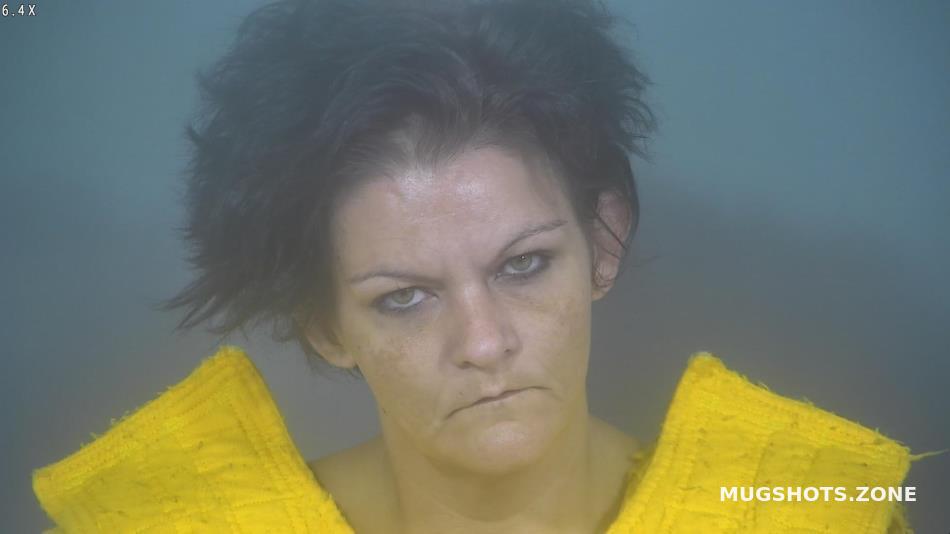 LINVILLE JENNIFER JO 08/16/2022 - St. Joseph County Mugshots Zone
