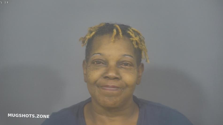 BIRD LISA DIANE 11/26/2022 - St. Joseph County Mugshots Zone