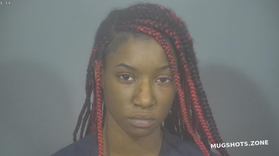 Winston Haven Ashlynn Nicole 12 06 2022 St Joseph County Mugshots Zone