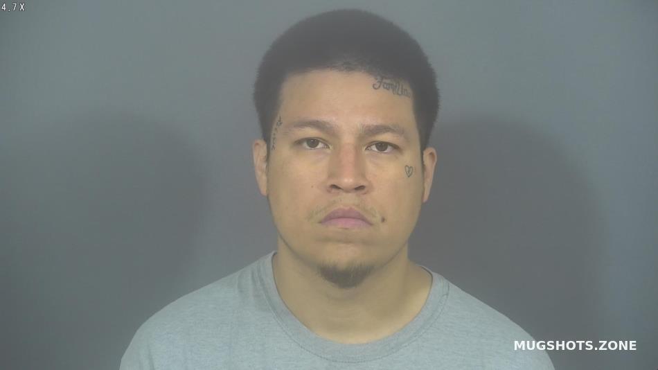Ballin Noel Rolando 05 31 2023 St Joseph County Mugshots Zone