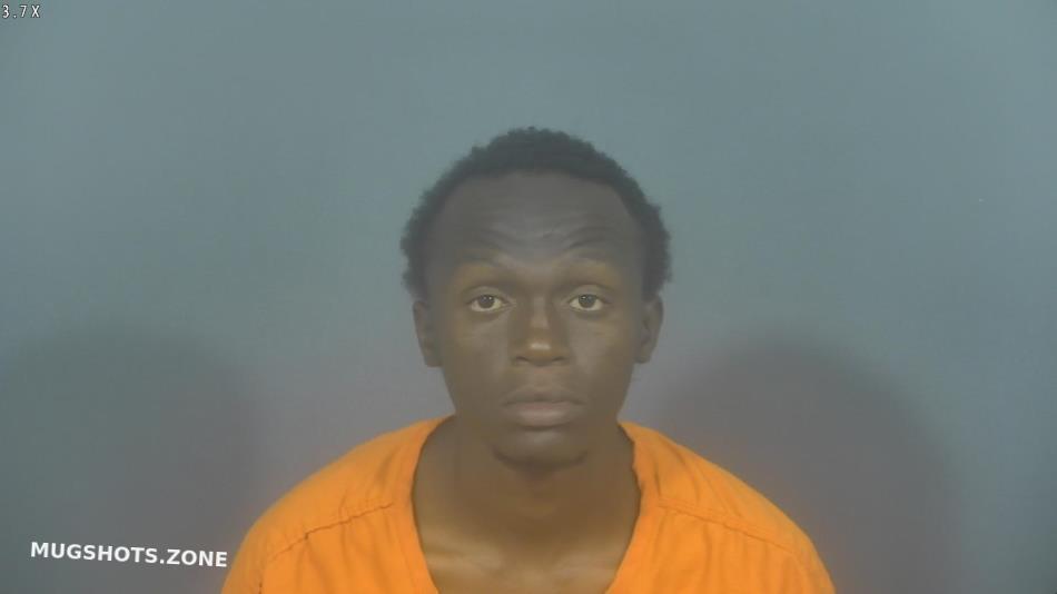 Njoroge Brian Mwangi 08 28 2023 St Joseph County Mugshots Zone