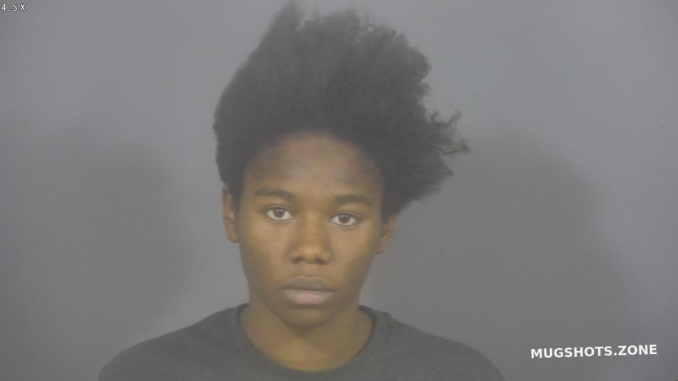 Burton Janeisha Lanay 10 11 2023 St Joseph County Mugshots Zone