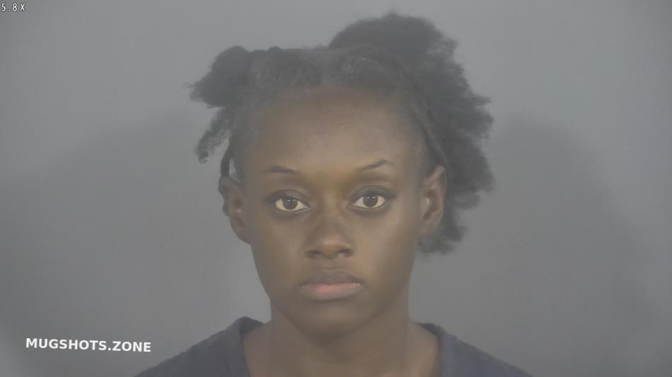 Hunt Micah Lynne 10 13 2023 St Joseph County Mugshots Zone