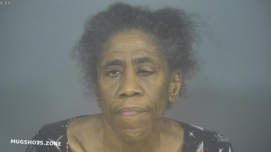 CAMERON YOLANDA NMN 11/12/2023 - St. Joseph County Mugshots Zone