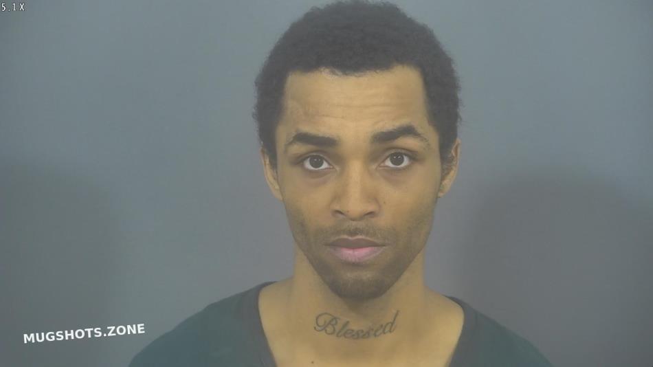 WILSON DAJON MATTHEW 11/19/2023 - St. Joseph County Mugshots Zone