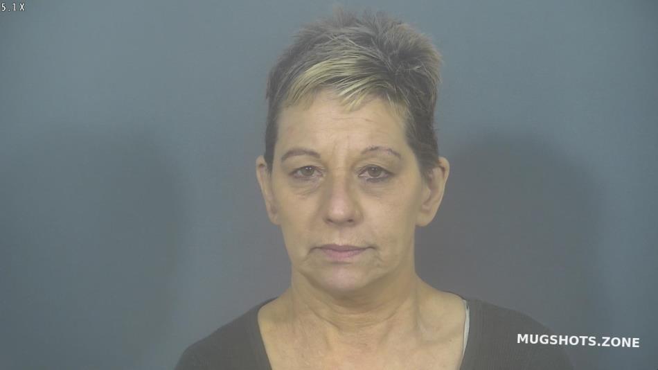 FELLOWS LISA MARIE 11/30/2023 - St. Joseph County Mugshots Zone