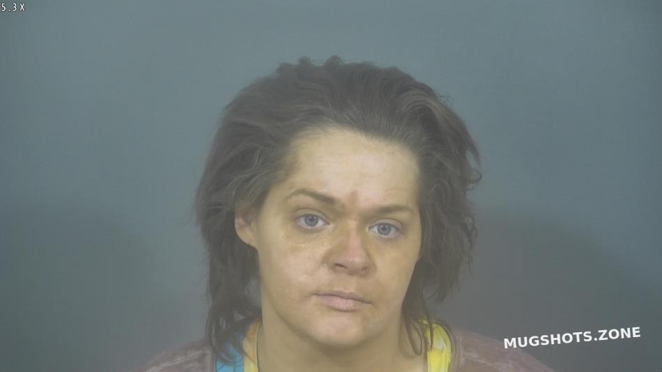 REAGAN DAWNETTE FAY 02/26/2024 - St. Joseph County Mugshots Zone