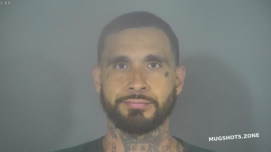 GONZALES MATTHEW JAMES 05/30/2024 - St. Joseph County Mugshots Zone