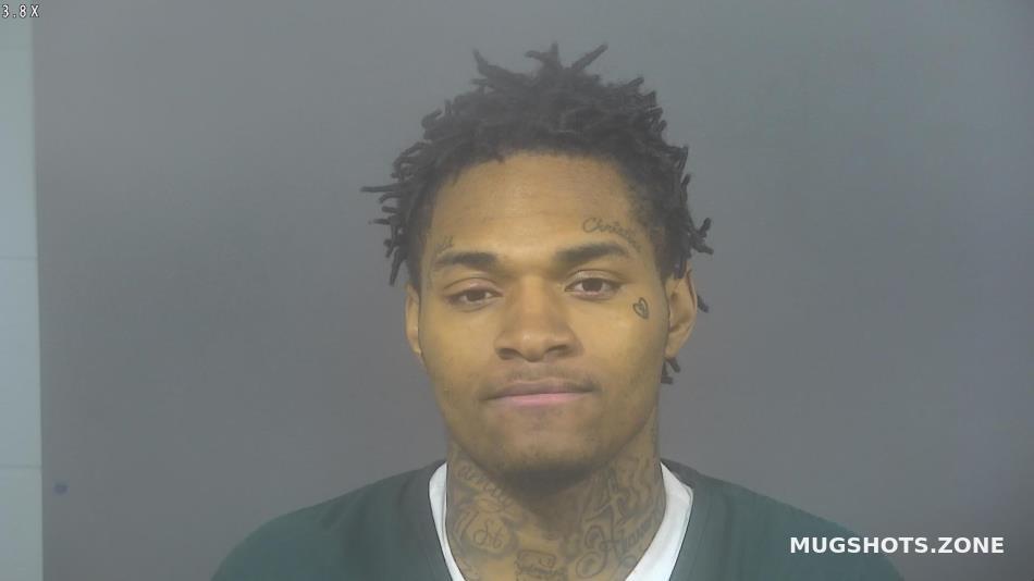 LOGAN TAVIAN LEE 08/16/2024 - St. Joseph County Mugshots Zone