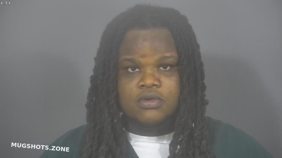 SHANNON ARMON LEWIS 09/06/2024 - St. Joseph County Mugshots Zone