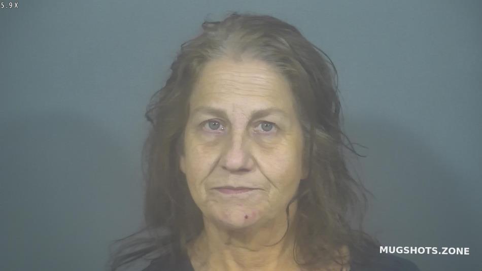 BRINKS GAIL ANNETTE 10/13/2024 - St. Joseph County Mugshots Zone