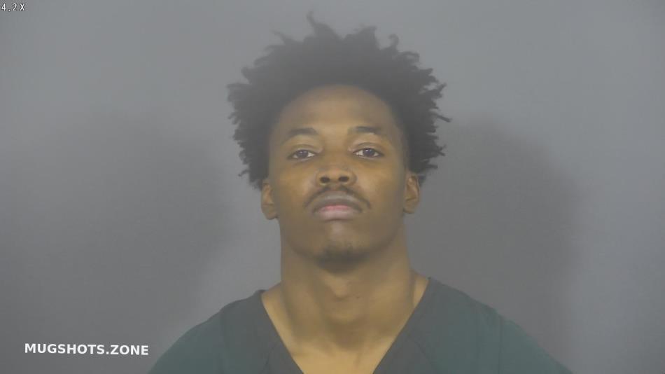 EARL EASLEY ROBERT 10/19/2024 - St. Joseph County Mugshots Zone
