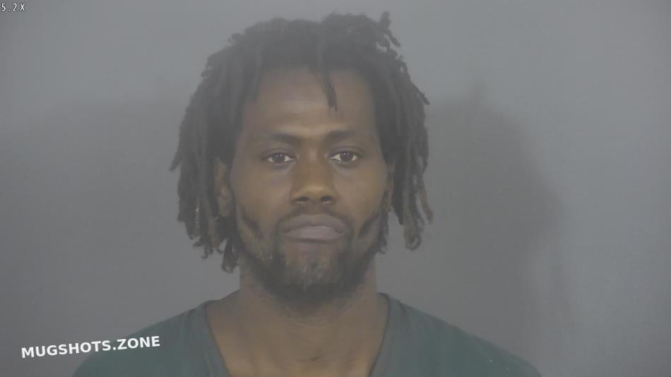 RIDDLE DEVONE GIONNE 10/24/2024 - St. Joseph County Mugshots Zone