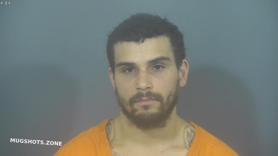 CHAPPELL ANDRE DEVON 11/23/2024 - St. Joseph County Mugshots Zone