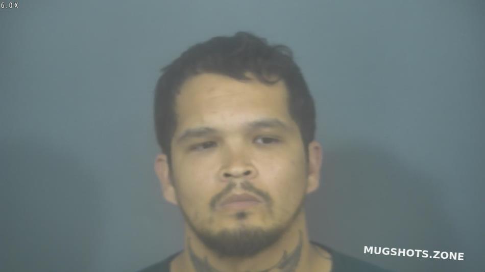 COLE SCOTT DEAN 11/26/2024 - St. Joseph County Mugshots Zone
