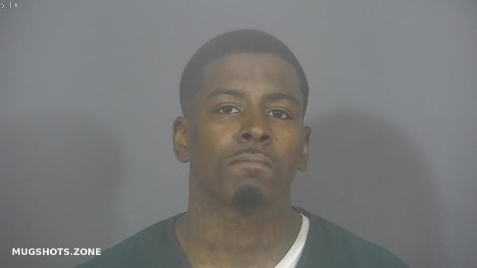 HARRISON ASHTON LEIGHTON 12/13/2024 - St. Joseph County Mugshots Zone