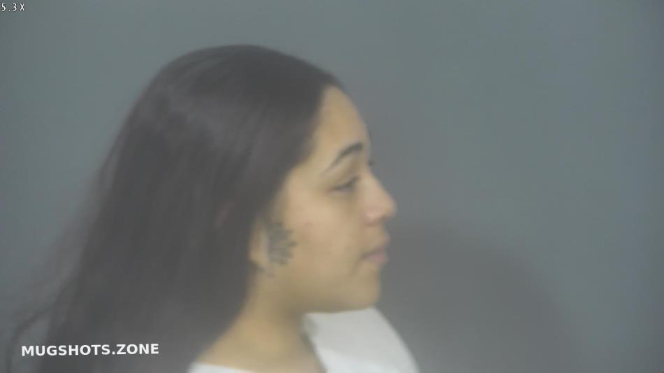 GILLON GABRIELLA MARIE 02/21/2025 - St. Joseph County Mugshots Zone