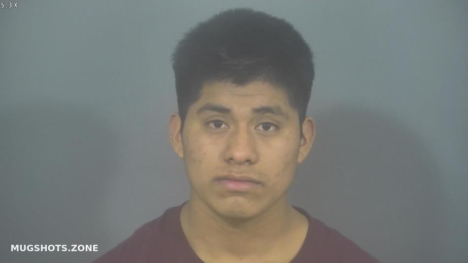 DIAZ- PEREZ YONI ORLANDO 03/08/2025 - St. Joseph County Mugshots Zone