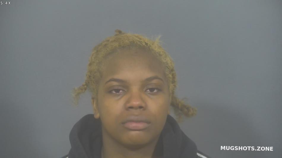 DUNN ALEXIS ARMANI 04/20/2025 - St. Joseph County Mugshots Zone