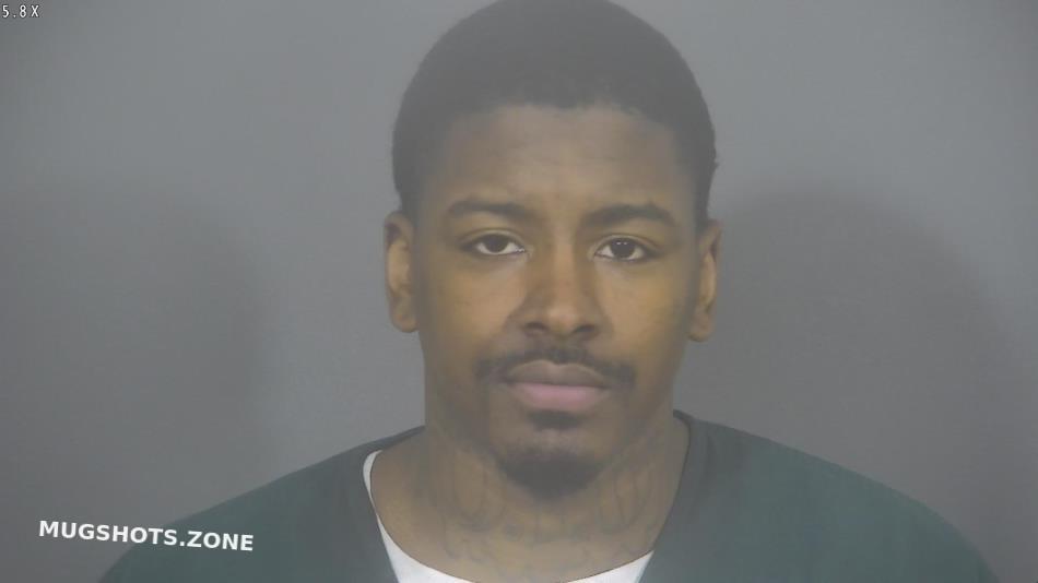 HARRISON ASHTON LEIGHTON 05/14/2025 - St. Joseph County Mugshots Zone