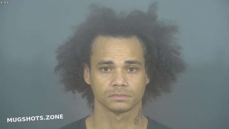 CHILDRESS CHRISTOPHER LEE 05/28/2025 - St. Joseph County Mugshots Zone