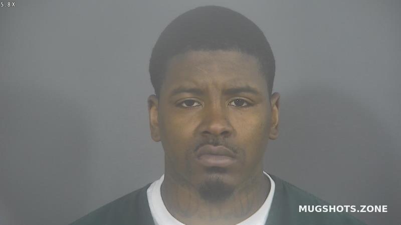 HARRISON ASHTON LEIGHTON 05/29/2025 - St. Joseph County Mugshots Zone