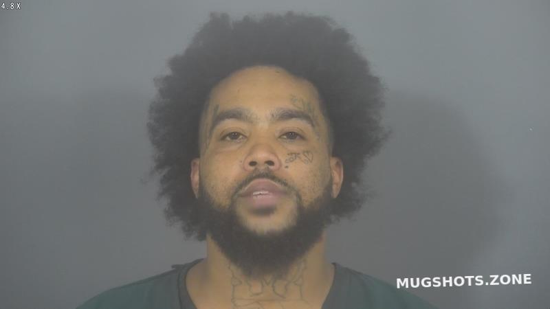 WILSON CAMERON DESHAUN 05/30/2025 - St. Joseph County Mugshots Zone
