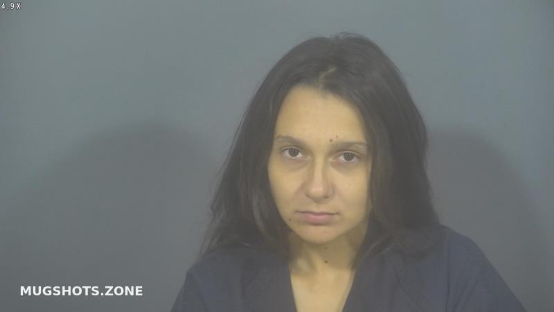 DINKINS JENNA MAE 06/20/2025 - St. Joseph County Mugshots Zone