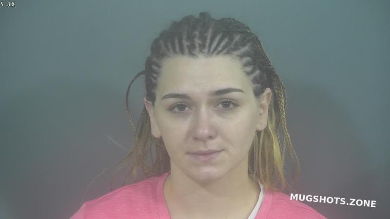 WHITE CASEY ALEXIS 11/14/2025 - St. Joseph County Mugshots Zone