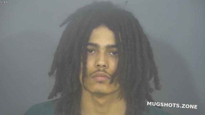 LUCAS NOAH D 11/24/2025 - St. Joseph County Mugshots Zone