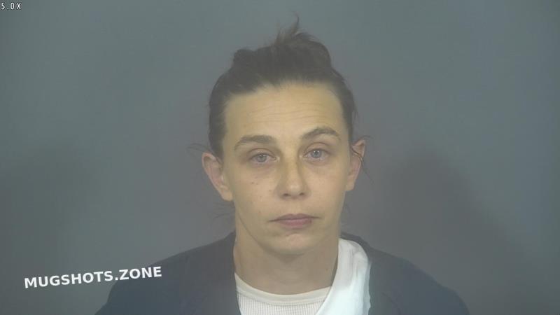 WILLIS AMANDA KAY 11/29/2025 - St. Joseph County Mugshots Zone