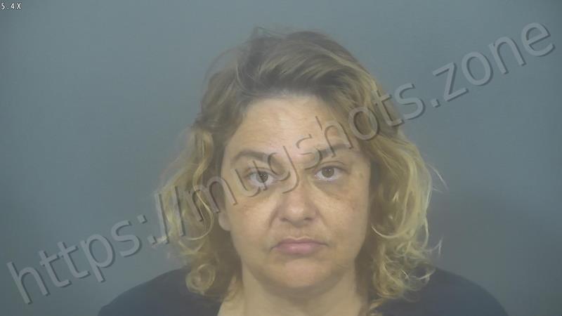 WINSTON JAMIE LYNN 03/10/2026 - St. Joseph County Mugshots Zone