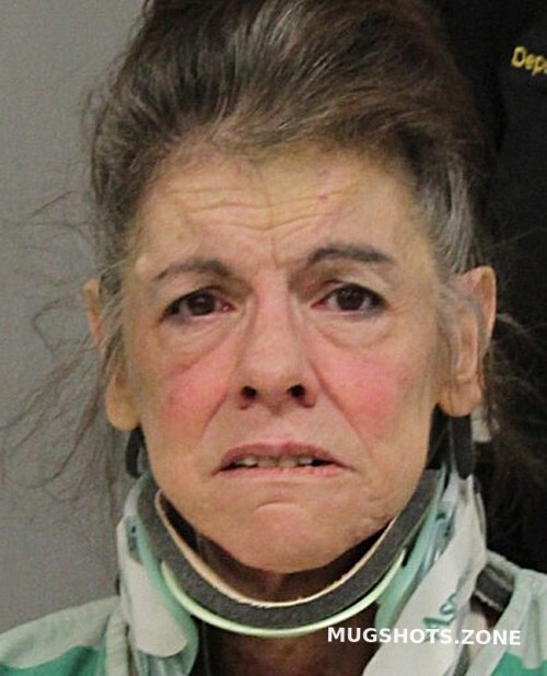 HALBERT BRENDA ANNETTE 06/13/2023 - St. Lucie County Mugshots Zone