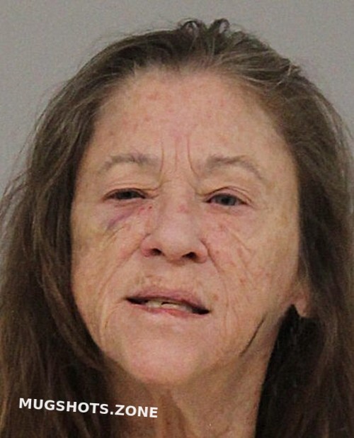 DOUGLAS KAREN STACY 08/13/2023 - St. Lucie County Mugshots Zone