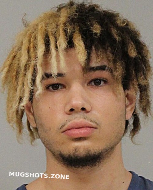 ROSALES ARIAS ALEXANDER DANIEL 09/15/2023 - St. Lucie County Mugshots Zone