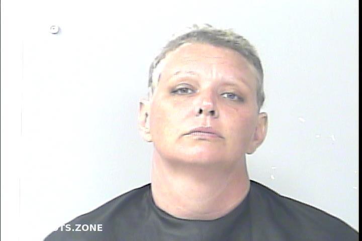 TREECE MICHELLE LEIGH 08/11/2024 - St. Lucie County Mugshots Zone