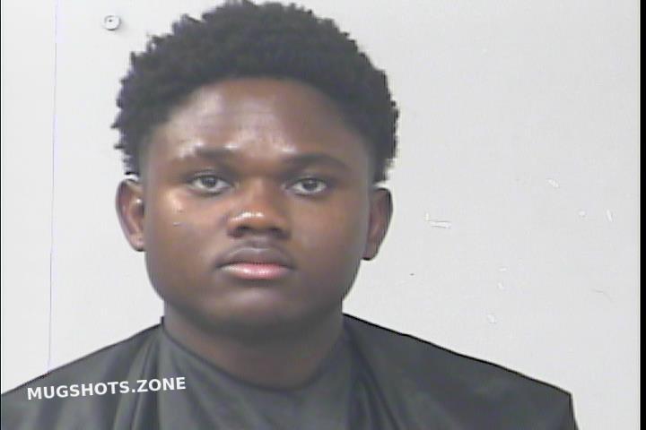 DEMEZIER MARC HERWIDGE HERM 10/26/2024 - St. Lucie County Mugshots Zone